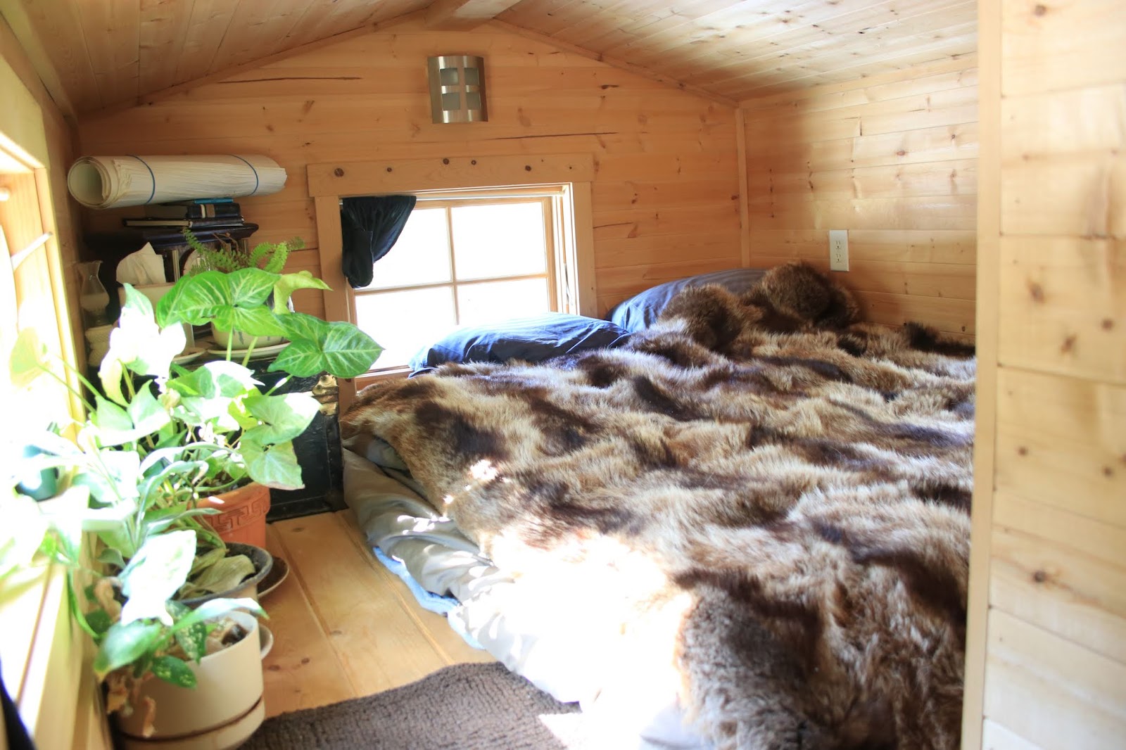 Fy Nyth...: House Photos