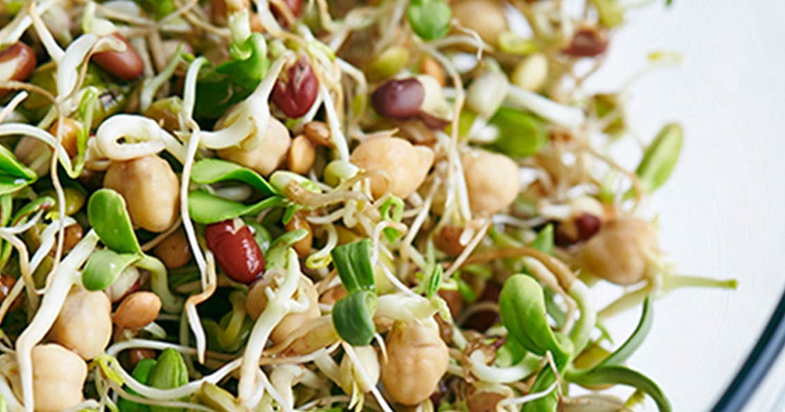 Φτιάξτε φύτρα (φύτρες) από σπόρους, στο σπίτι. Superfood, μεγάλης ...