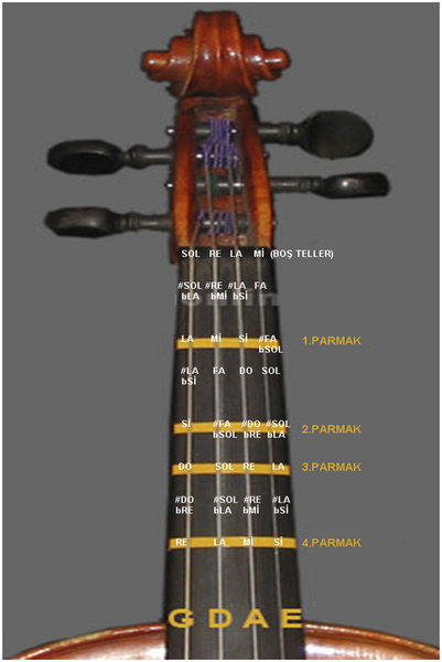 Kemanda Nota Yerleri - Müzik Ülkesi