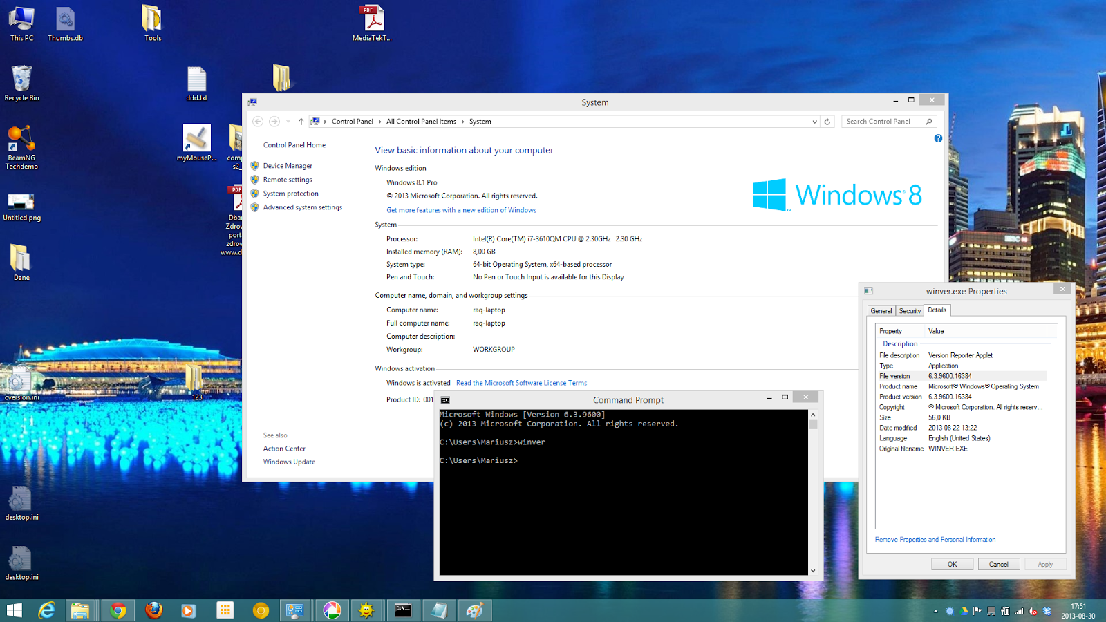 Windows 8.1 RTM 6.3.9600.16384