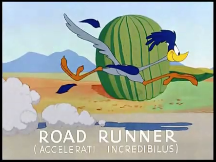 A POP CULTURE ADDICT - IN REHAB: The Roadrunner and the Coyote