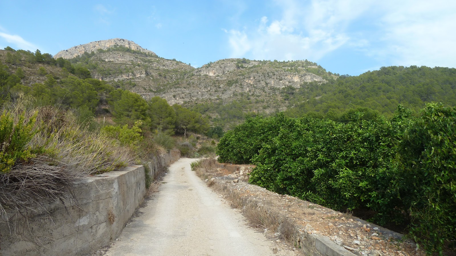 LA SIERRA FALCONERA DESDE MARXUQUERA - Las Rutas de Moskys