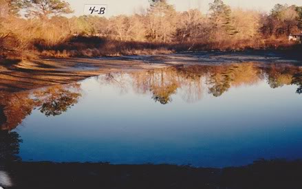 Real Life Is Horror: The death of Debbie Wolfe: