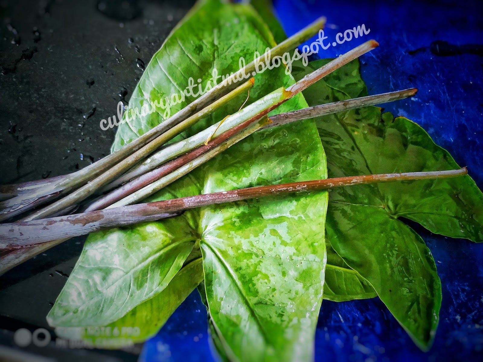 Maharashtrian Aluchi Bhaji or Colocasia or Taro or Patra leaves Curry