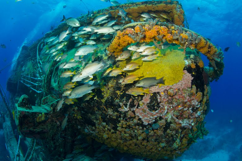 Digital Immersions: NEEMO - NASA astronauts train for Outer Space in ...