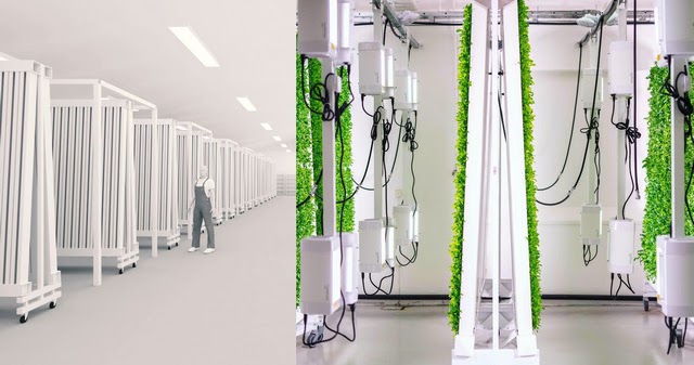 Interior Vertical Farming Building Important Elements And Stories ...
