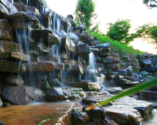 Photography By Roma: NYIP Unit 1 Photo Projects