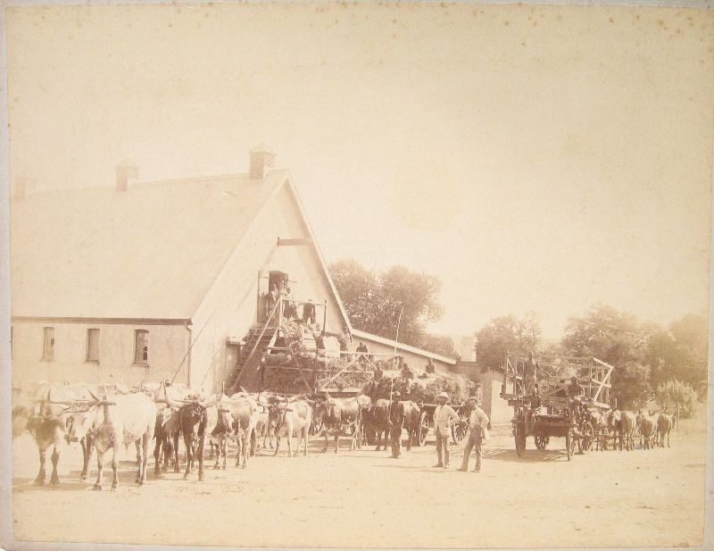 Melvin Residence: The Early History of Irene Farm