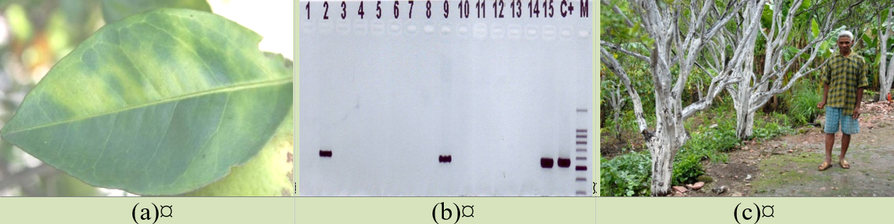 Belajar Kebijakan Perlintan: 1.1. Permasalahan Perlindungan Tanaman dan ...