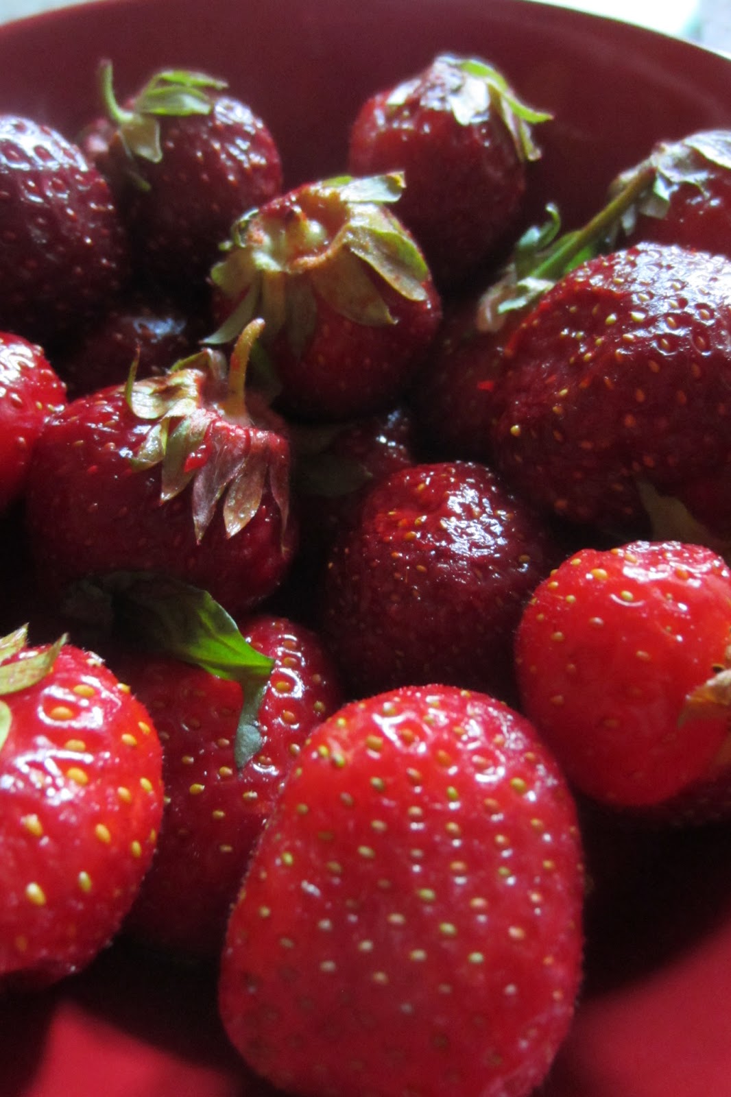 Maailman paras karkki