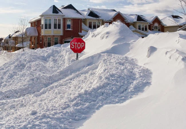 This Man Turned A Snowy Situation Into A Party With A 'Natural' Beer ...
