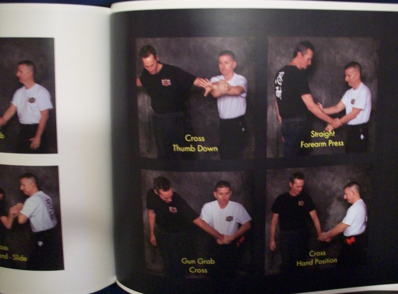 Tuite Jutsu (Personal training/teaching methodologies in Te): The 6 ...