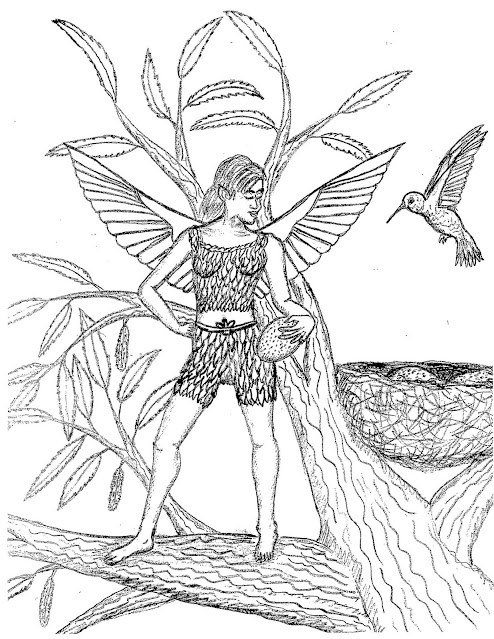 Robin's Great Coloring Pages: Tree Fairies - Willow Tree Fairy with ...