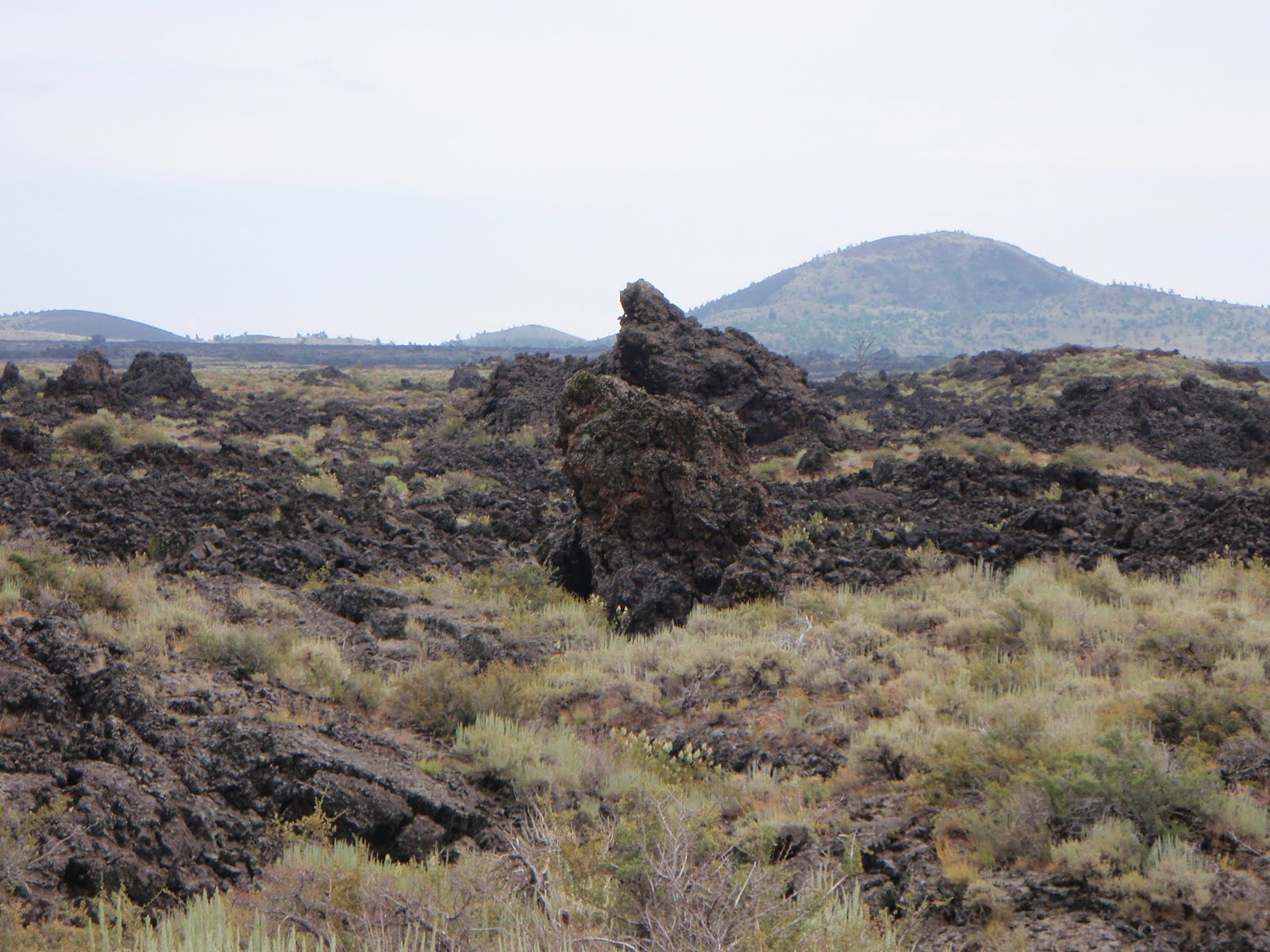 Marti's Musings: There's Something About the Arco Desert