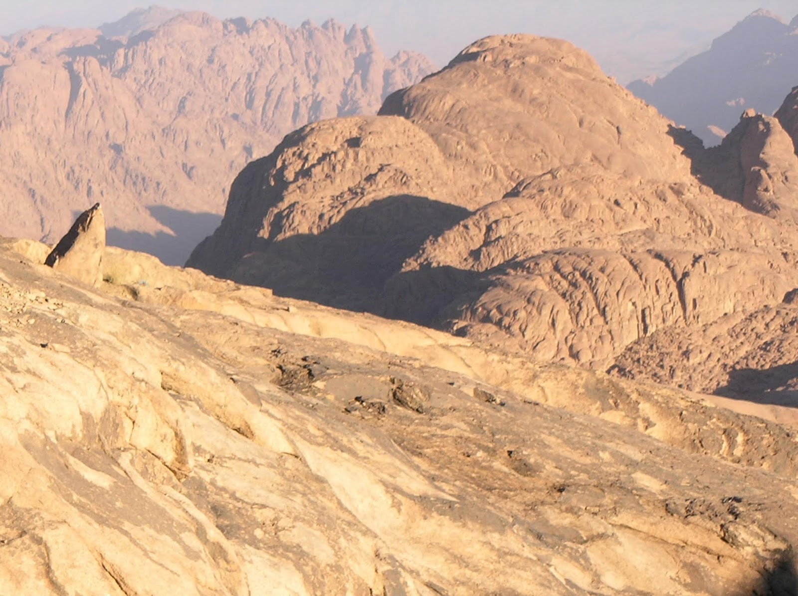 Zające poznają świat.: Góra Synaj