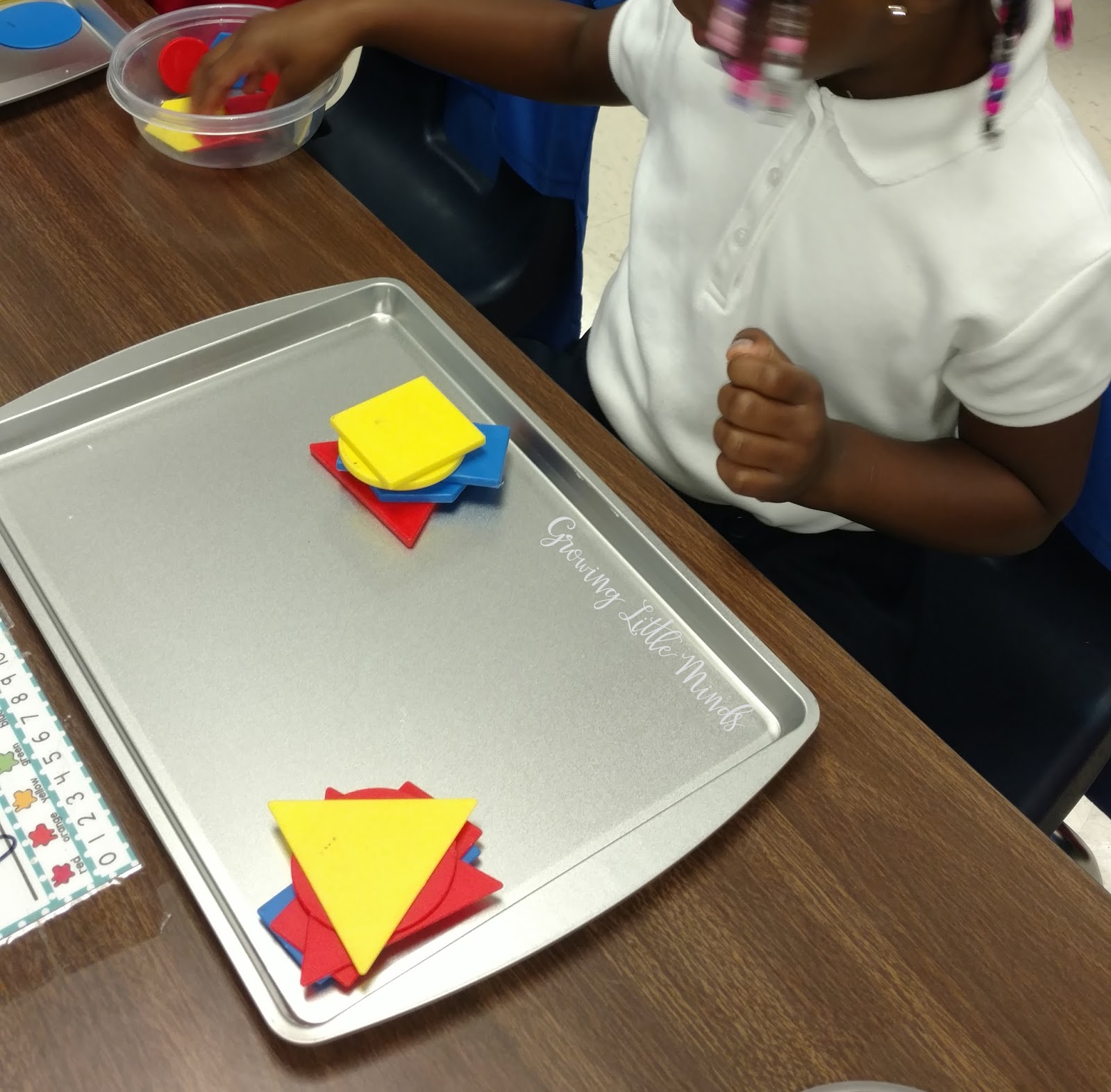 Growing Little Minds: Categorizing and Sorting in Kindergarten