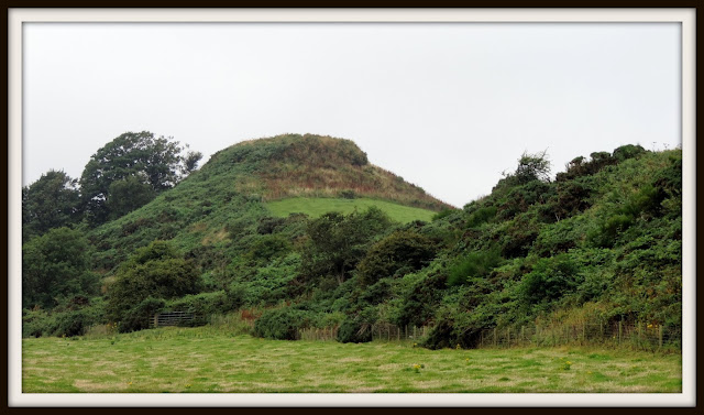 The Glebe Blog: Wigtownshire Ramblers Stoneykirk Circular August 2013