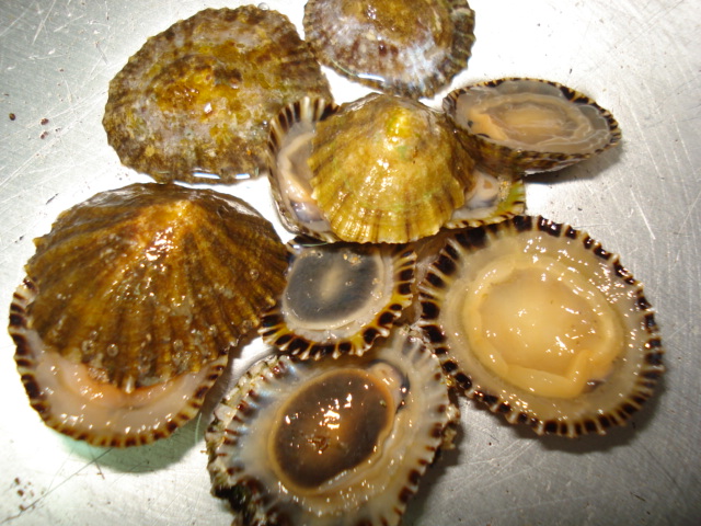 Como Pão Para Laranjas: Lapas grelhadas (à moda dos Açores)