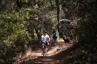 Trailscape [BLOG]: Review of the Foresthill Divide Loop Trail