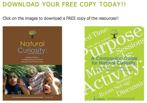 On Display: Natural Curiosity | Transforming our Learning Environment ...