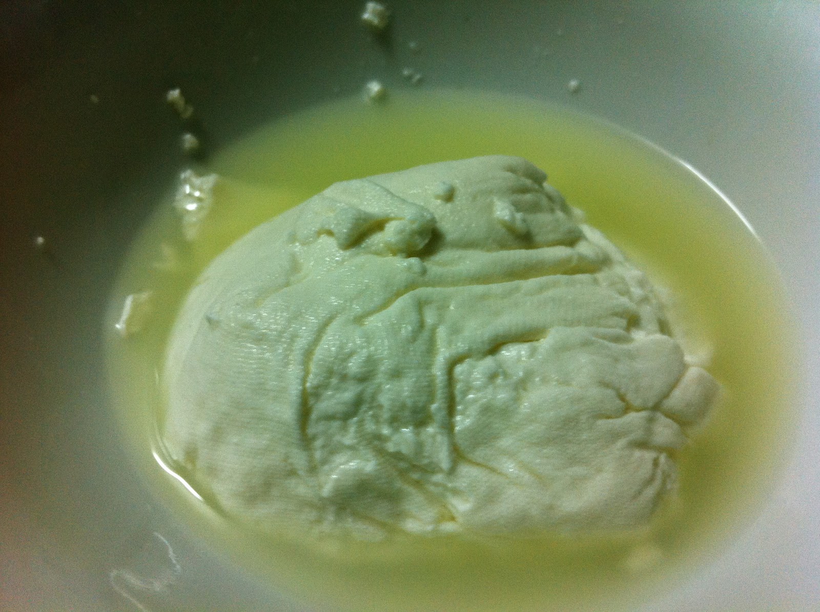 Knifing Forking Spooning: Homemade Mozzarella