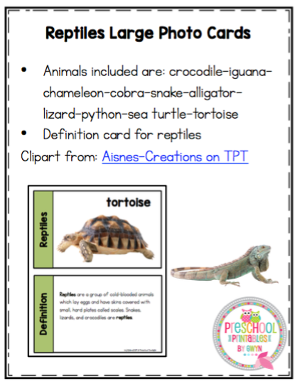 Reptiles Large Real Photo Cards ~ Preschool Printables
