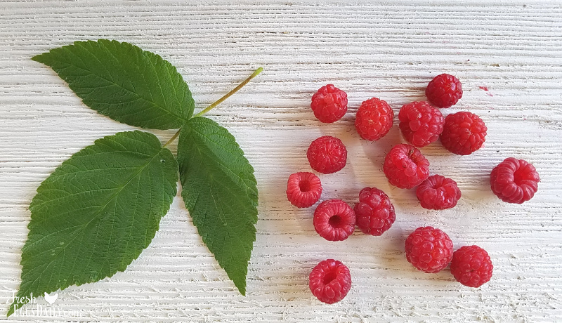 Wild Berries on our Farm in Maine - Fresh Eggs Daily® with Lisa Steele