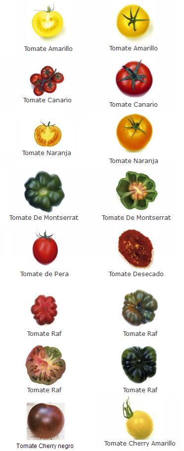 Gastronomía a Libreta Abierta, [=I=]: Tipos de Tomates