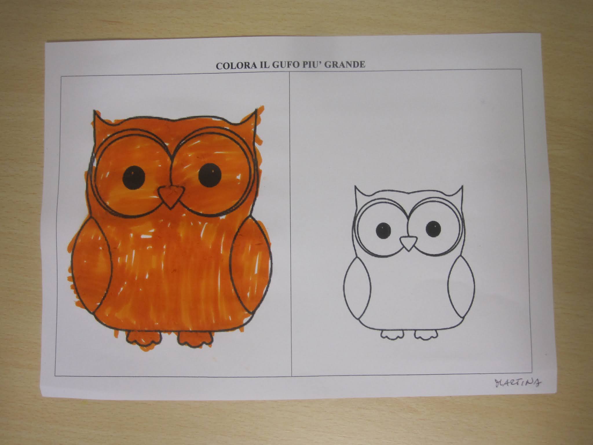 Maestra Mariangela: PROGETTO ACCOGLIENZA " I TRE PICCOLI GUFI"