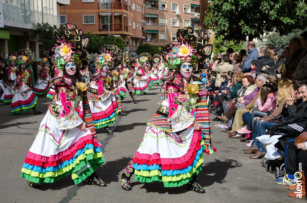 Por culpa de los Carnavales: Comparsas 2015
