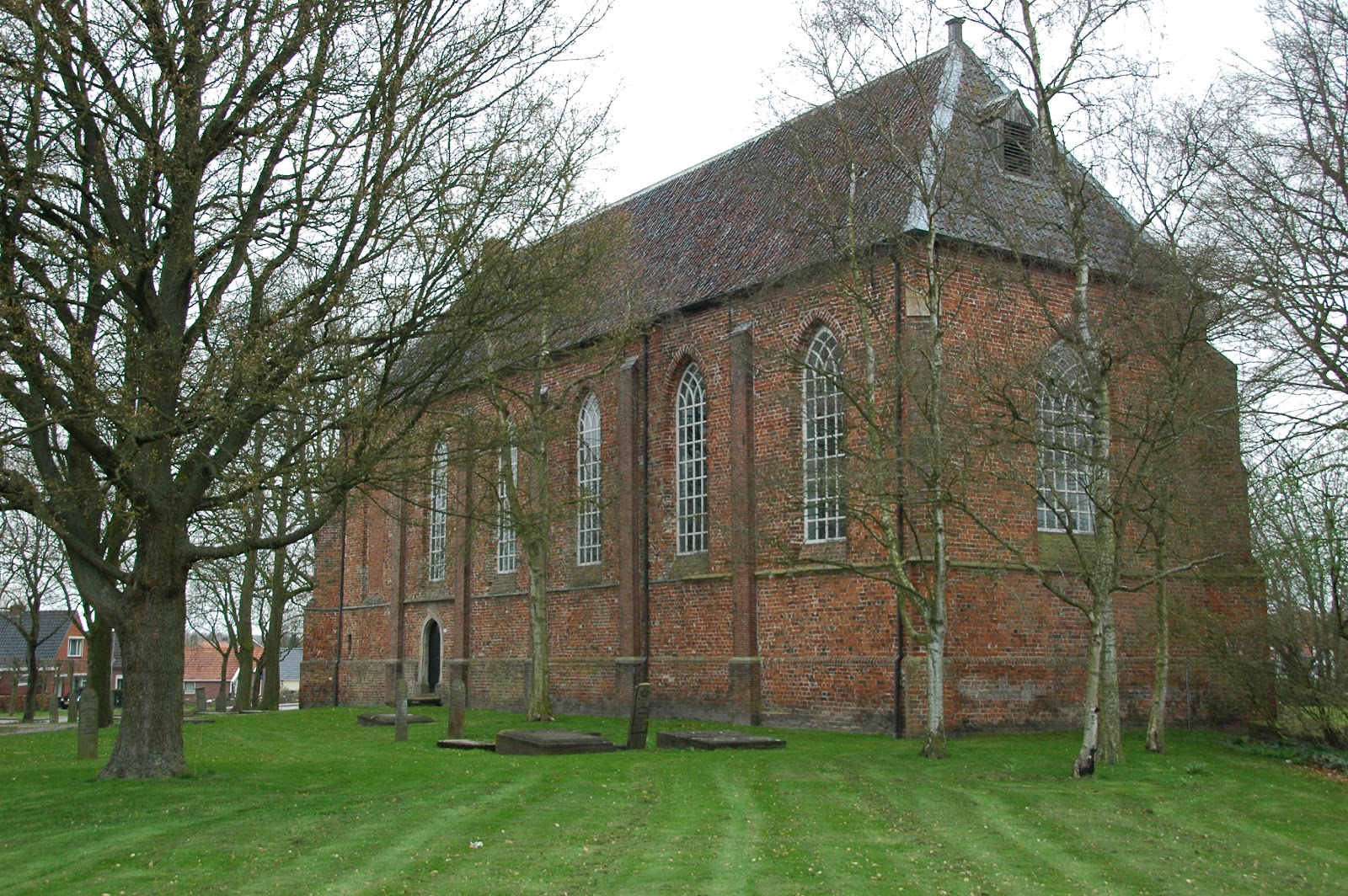 Aunt Ramona's Africa Adventures