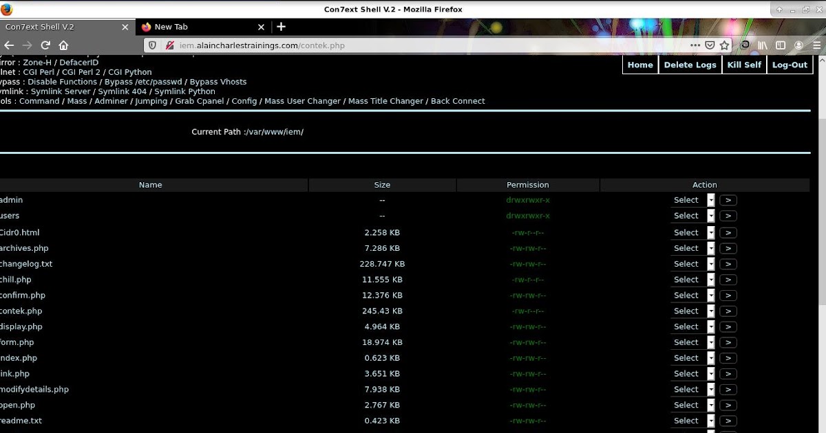 Cara backconnect Web Shell dengan Ngrok dan Netcat