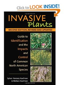 The 3 Foragers: Foraging for Wild, Natural, Organic Food: Eating ...