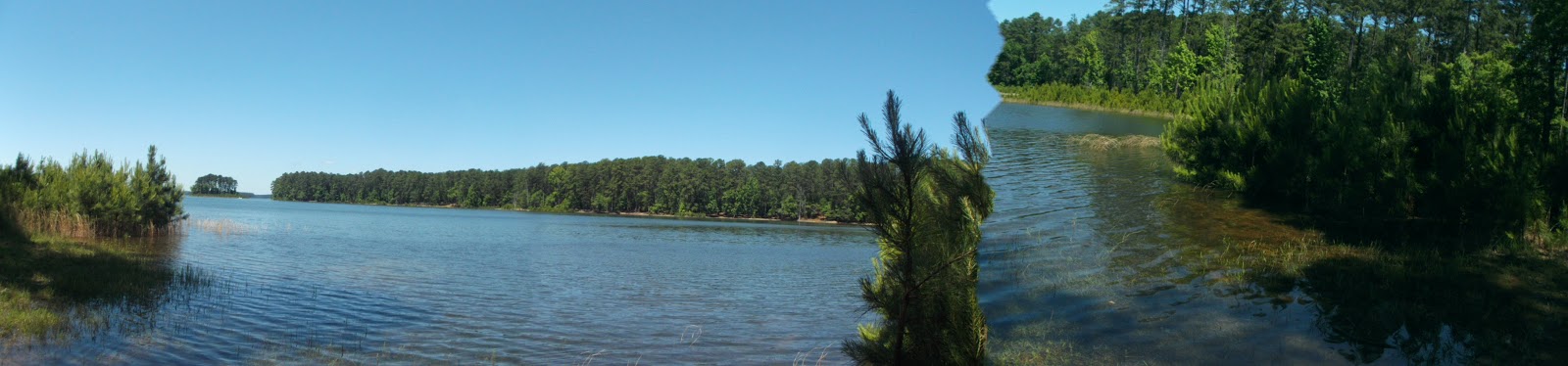 On the Road with Bill, Bunky and the Booze: Hamilton Branch State Park, SC
