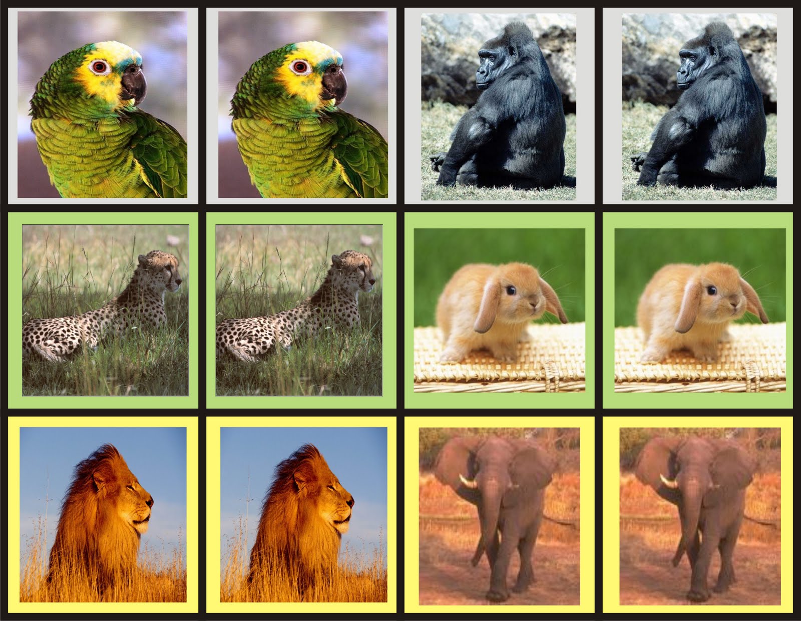 Memorama de animales | Todo el mundo sonríe en el mismo lenguaje