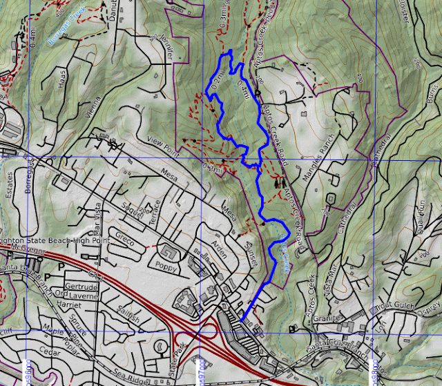 The Forest of Nisene Marks State Park