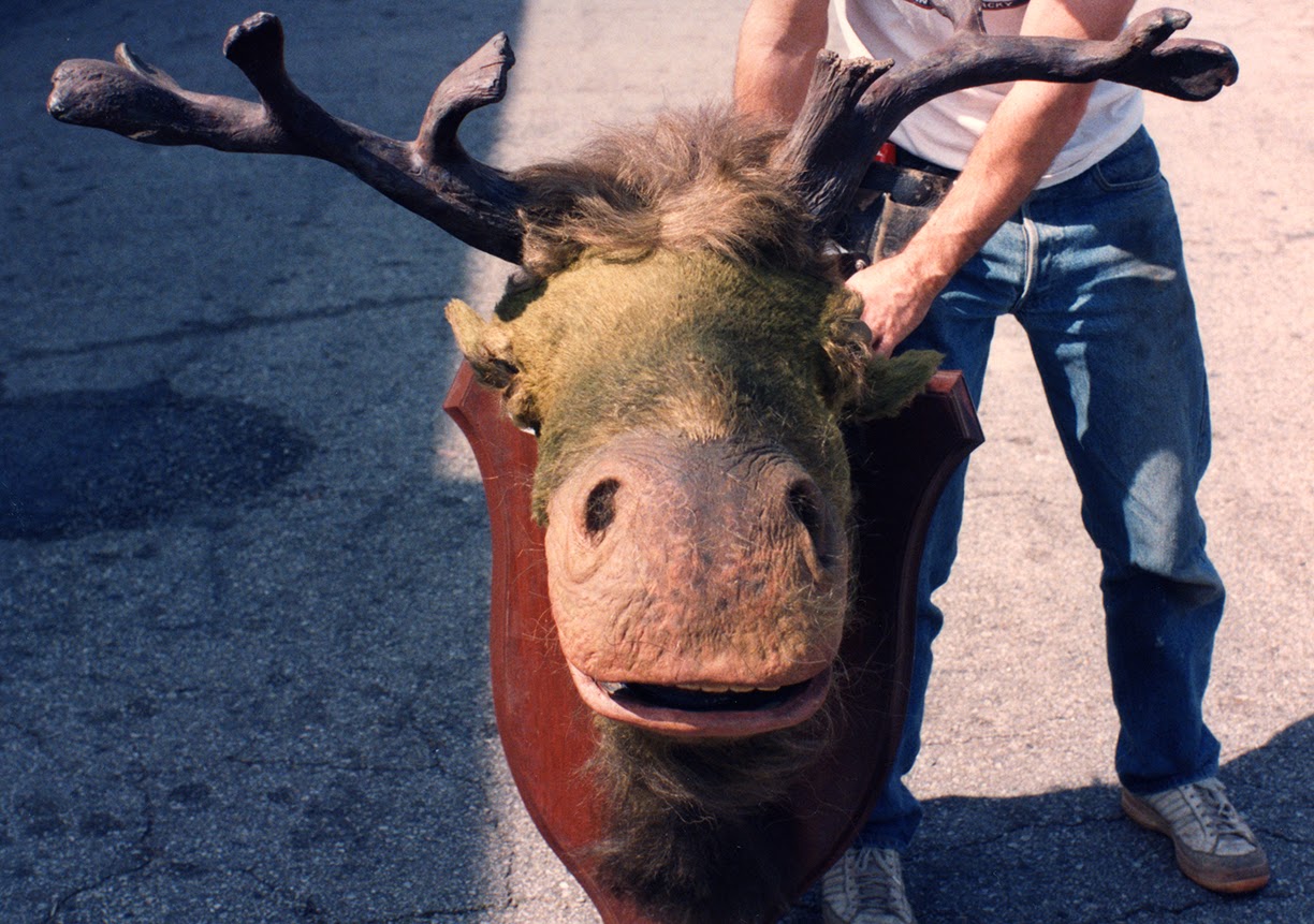 Kevin Kidney: Return to Oz: The Gump