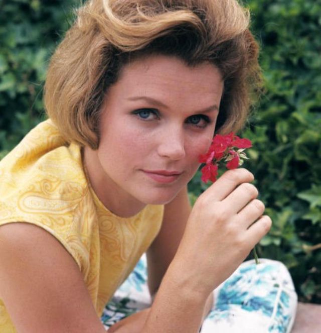 50 Glamorous Photos of Lee Remick From the 1950s and 1960s ~ Vintage ...