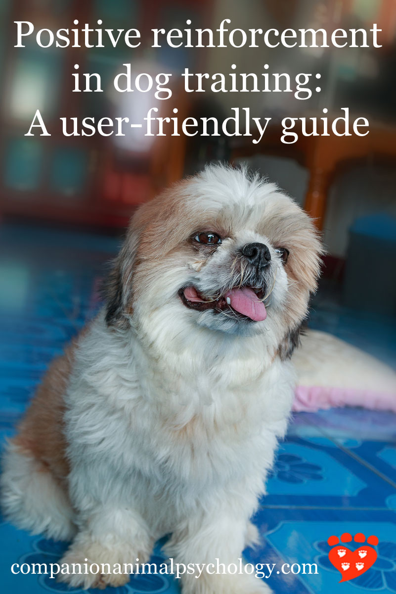 What is Positive Reinforcement in Dog Training?