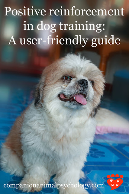 What is Positive Reinforcement in Dog Training?