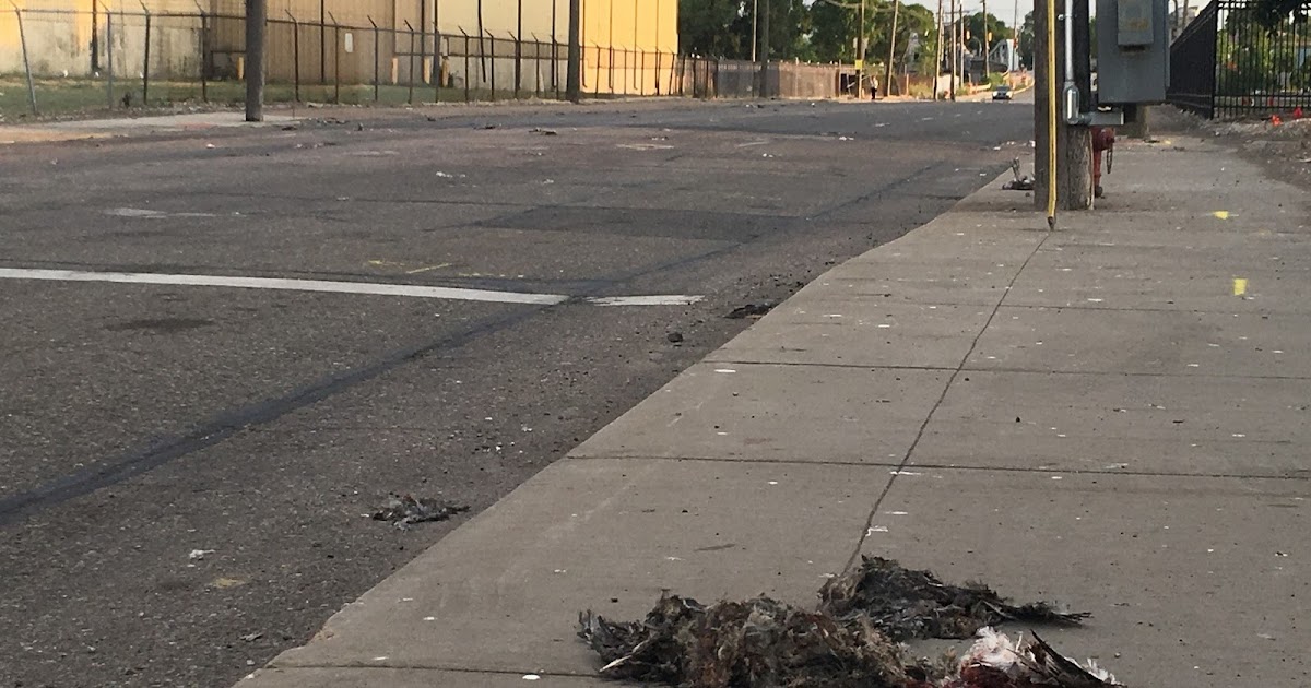 Inflection Point: 'Straight out of an apocalyptic horror movie ...