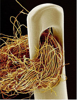 awesome image of a needle and thread under an electron microscope : r/pics