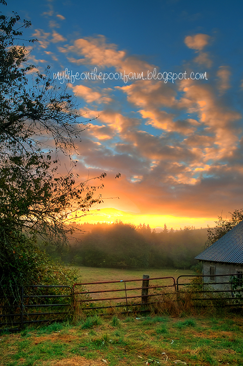 My Life on The Poor Farm: Good morning from The Poor Farm.
