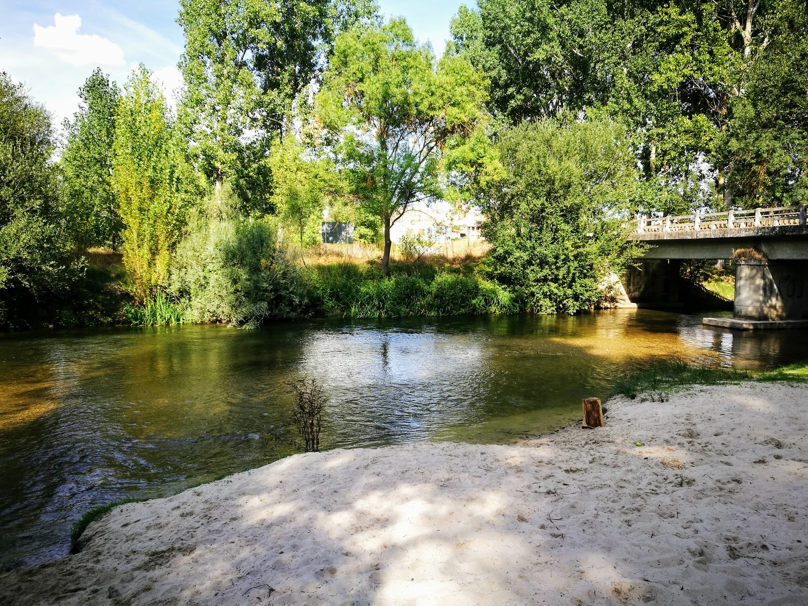 Ruta a caballo en Carrascal del Río