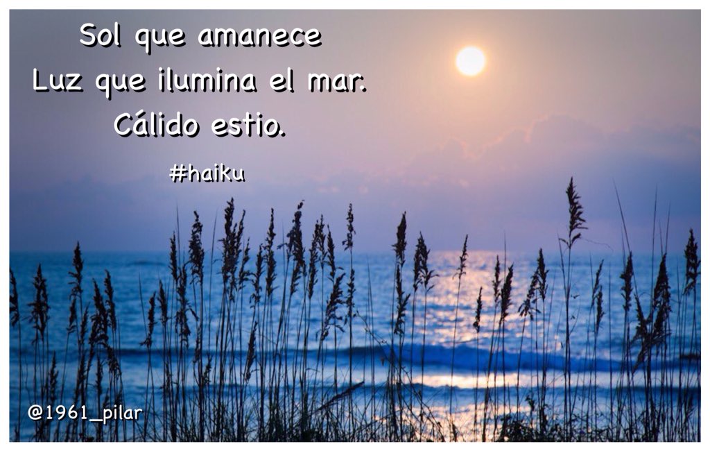 Versos a flor de piel: HAIKU 22