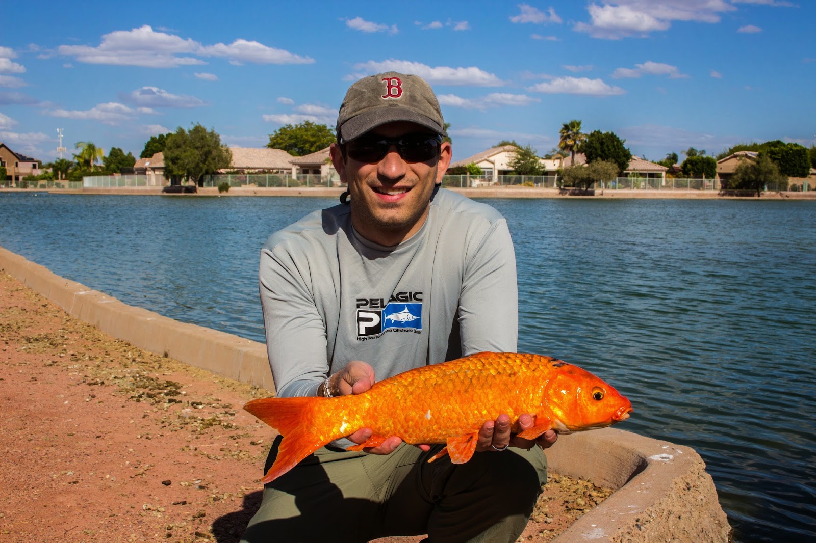 District Carp: Phoenix Carp Fishing