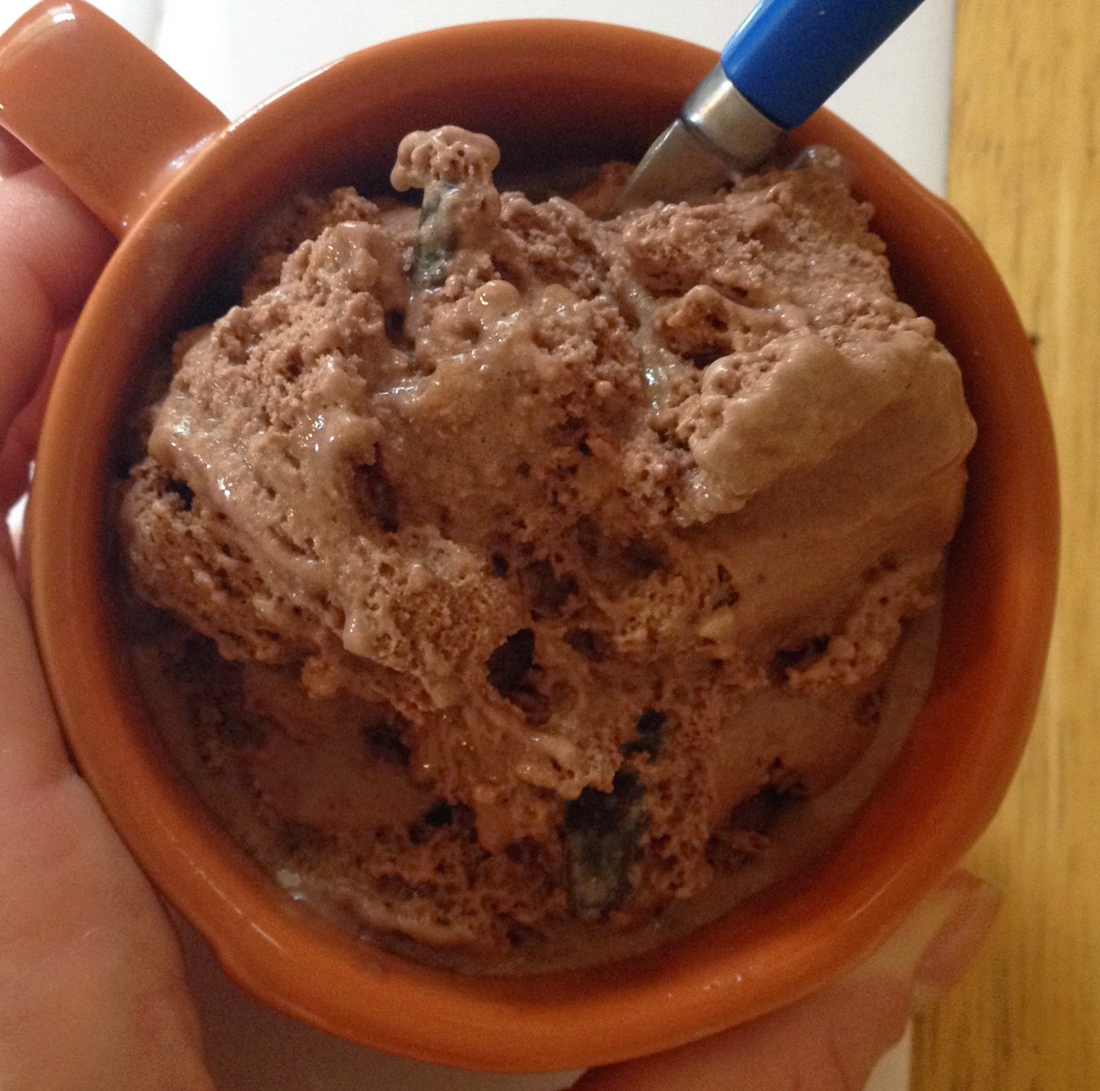 The Big Muddy Ice Cream Blog