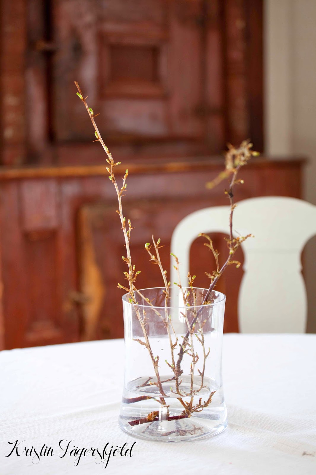 I mitt paradis: Dagens kvist