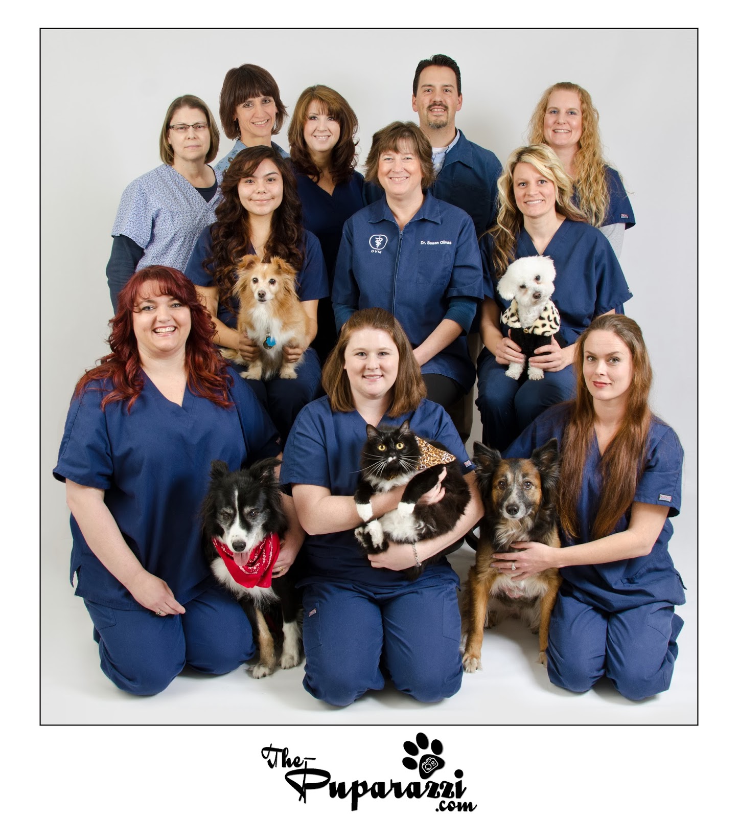 The-Puparazzi: Ceres Veterinary Clinic Employee Portraits