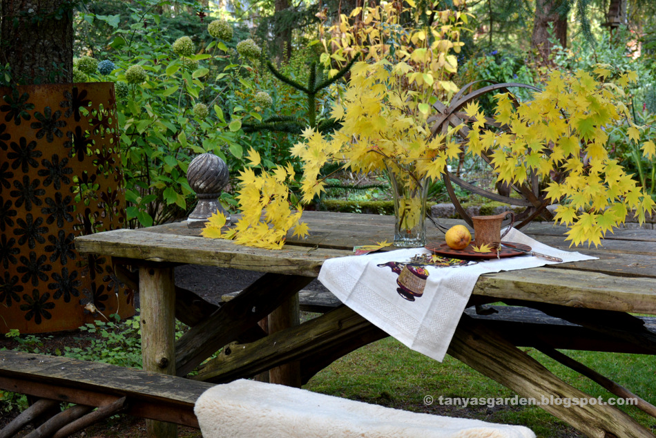 MySecretGarden: Fall Garden Snaps